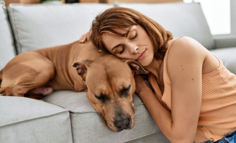 14 Best Dogs For Anxiety: The Most Comforting Canines!