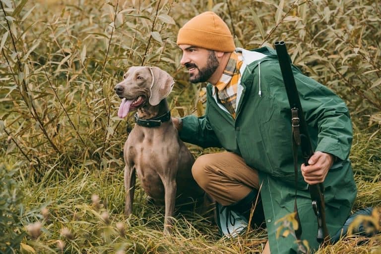 13 Ways to Teach Kids How to Interact with Dogs Safely!