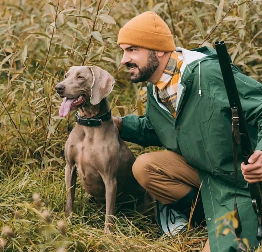 3 Best Dog Repellent Sprays For Keeping Aggressive Canines Away!