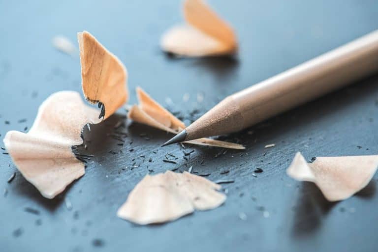 Help - My Dog Ate Plastic! What Should I Do?