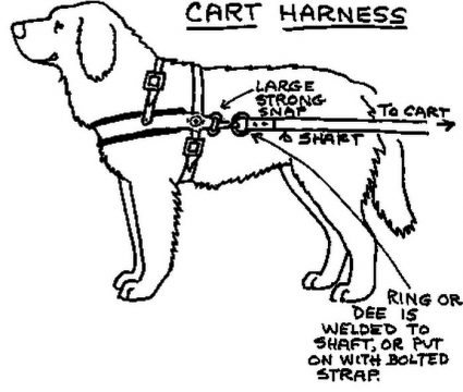 DIY Dog Harnesses: How to Build a Custom Dog Harness!