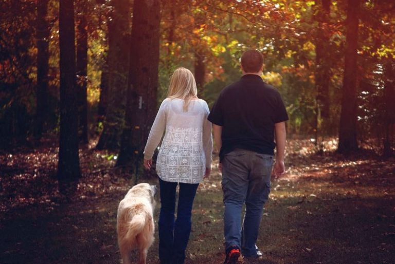 How to Teach a Dog to Heel: Getting Your Dog to Walk Alongside You!