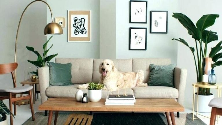 Dog-Proof Furniture: How to Pick Furniture Your Pets Won't Destroy!