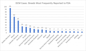 Dog Food FDA Report 2019: Is Grain-Free Food Causing DCM in Dogs?
