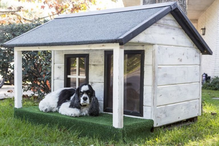 14 DIY Dog Houses: How to Build a Dog House (Plans + Blueprints)