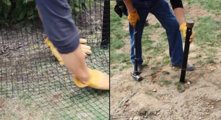 9 DIY Dog Fence Plans: Blueprints for Keeping Your Canine Contained!