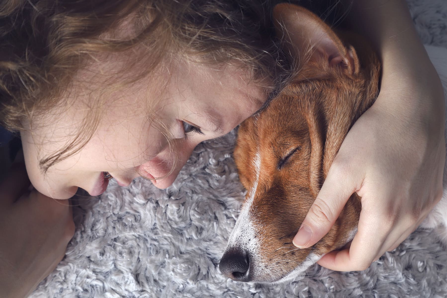 15 Signs Your Dog Is Dying How To Know When Your Dog Is Ready To Go 15 Signs Your Dog Is Dying How To Know When Your Dog Is Ready To Go