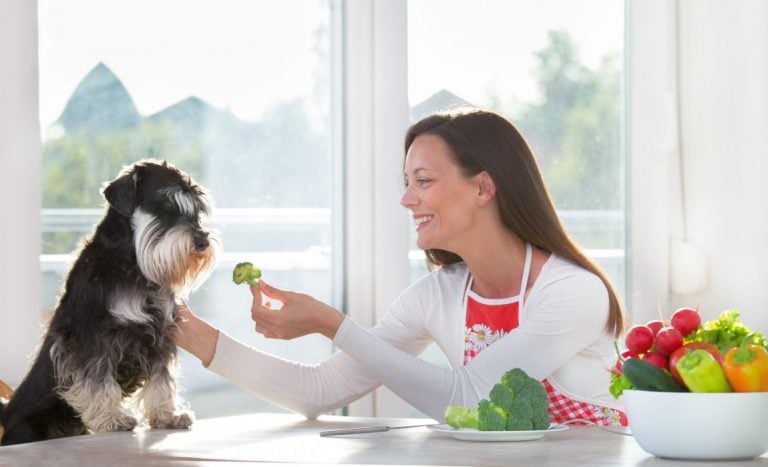 31 Foods You Can Share with Your Dog: Dog-Safe People Foods