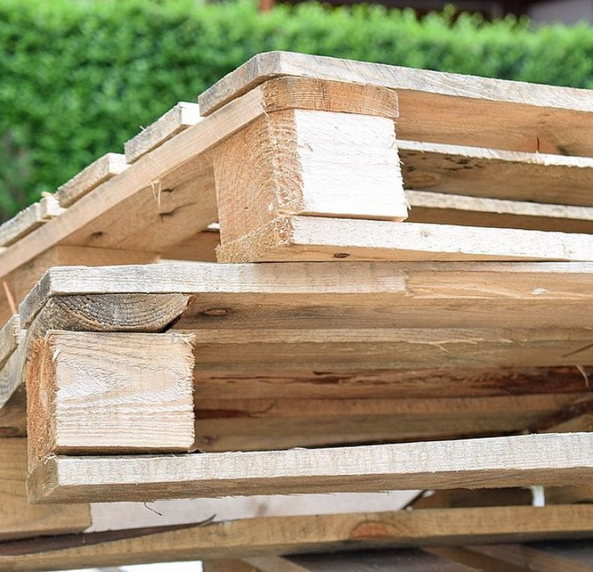 DIY Dog Ramp: How to Build a Ramp For Your Dog (7 Designs)