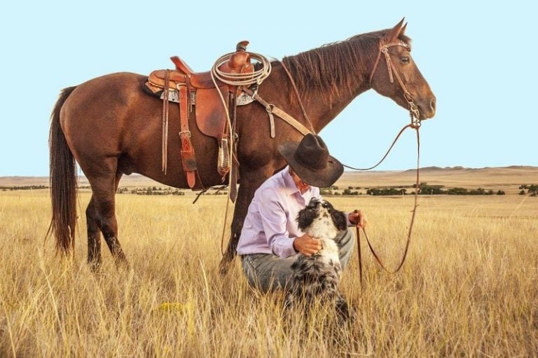 300+ Cowboy Dog Name Ideas: Saddle Up, Doggo!
