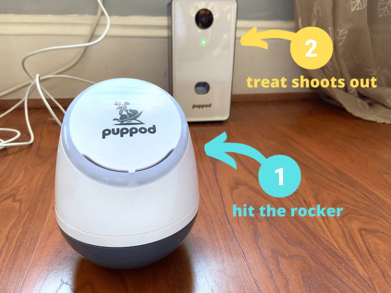 PupPod Hands-On Review: Is This High-Tech Toy Worth It?