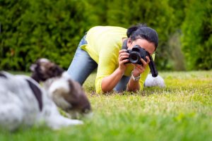 31 Dog Photography Tips: Take Great Pics of Your Pup!