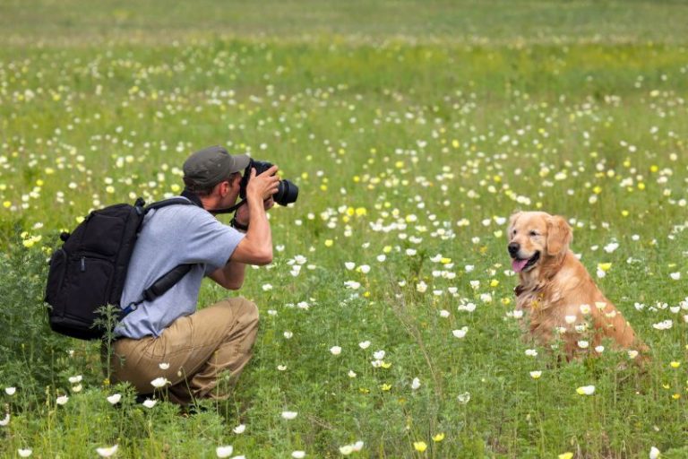 31 Dog Photography Tips: Take Great Pics of Your Pup!