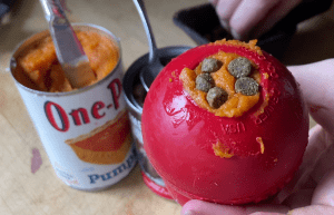 6 Stuffed KONG Recipes: What to Stuff in a KONG Dog Toy