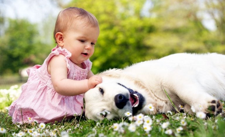 450+ Nerdy Dog Names: Geeky Names For Your Canine!