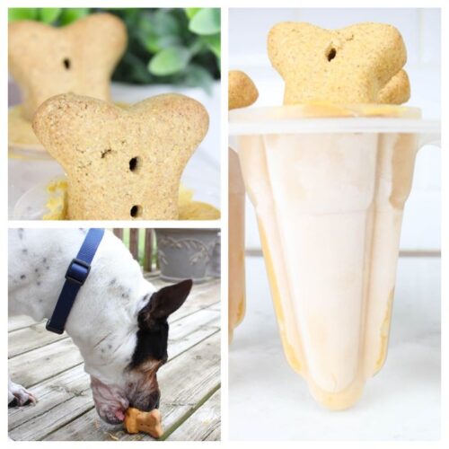 13 DIY Dog Popsicle Recipes for the Summer!