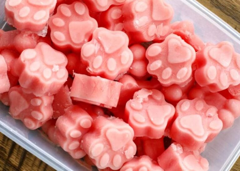 13 DIY Dog Popsicle Recipes for the Summer!