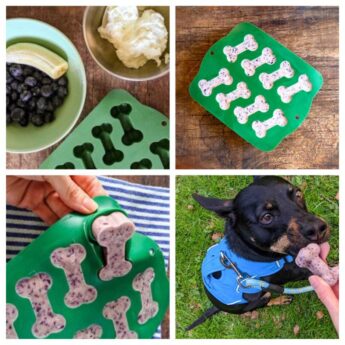 13 DIY Dog Popsicle Recipes for the Summer!