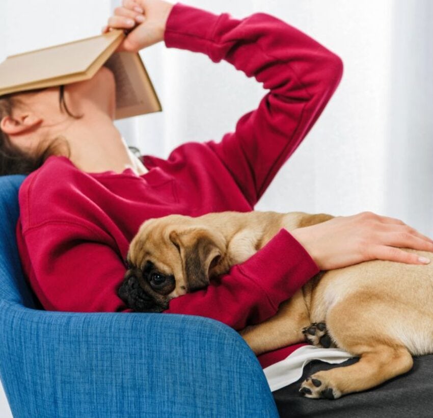 200 Mythological Dog Names For Your Mutt