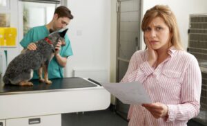 24 Organizations That Help Pay Vet Bills!