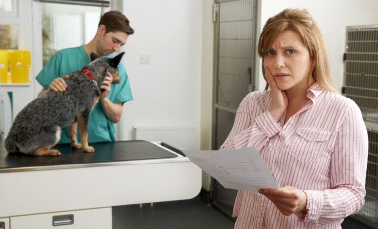 24 Organizations That Help Pay Vet Bills!