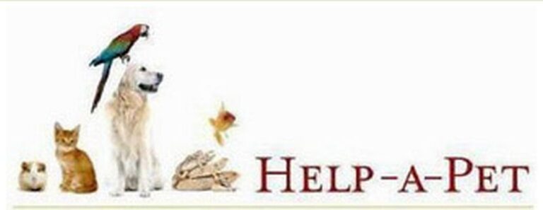 24 Organizations That Help Pay Vet Bills!
