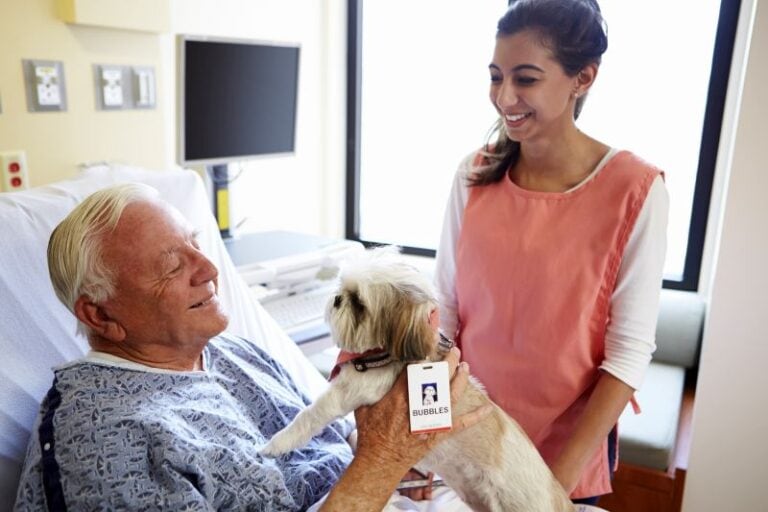 10 Best Breeds for Service Dogs: PTSD, Anxiety & Other Therapy Work!