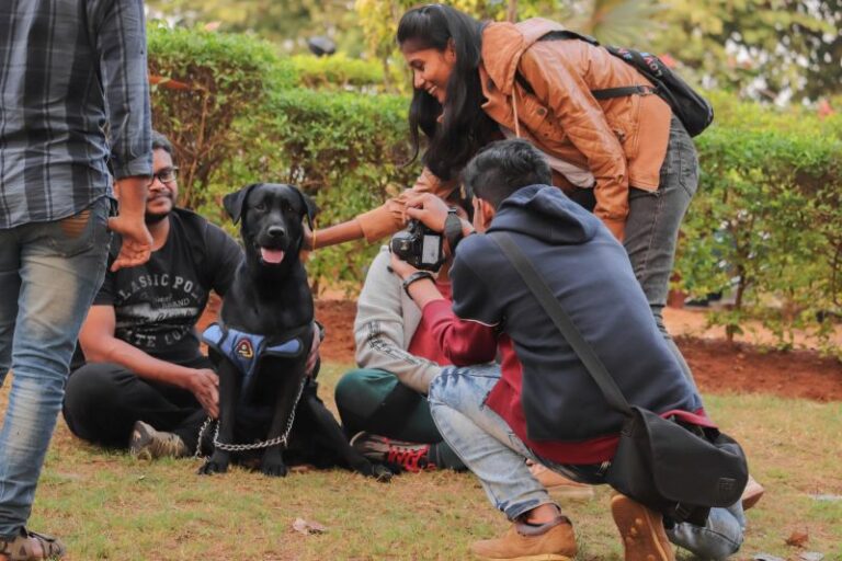 350+ Indian Dog Names: Magnificent Mutt Monikers to Explore