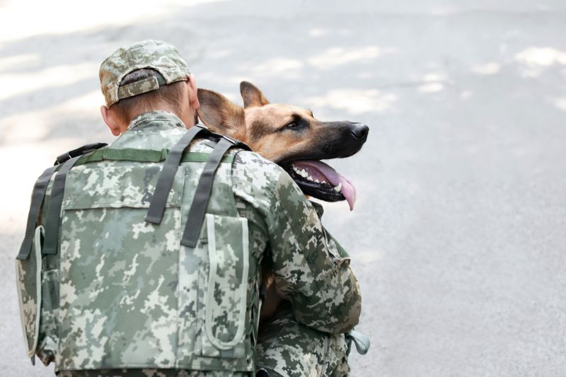 Military Dog Names 150 Name Ideas For Tough Canines 2022 Military Dog Names 150 Name Ideas For Tough Canines 2022