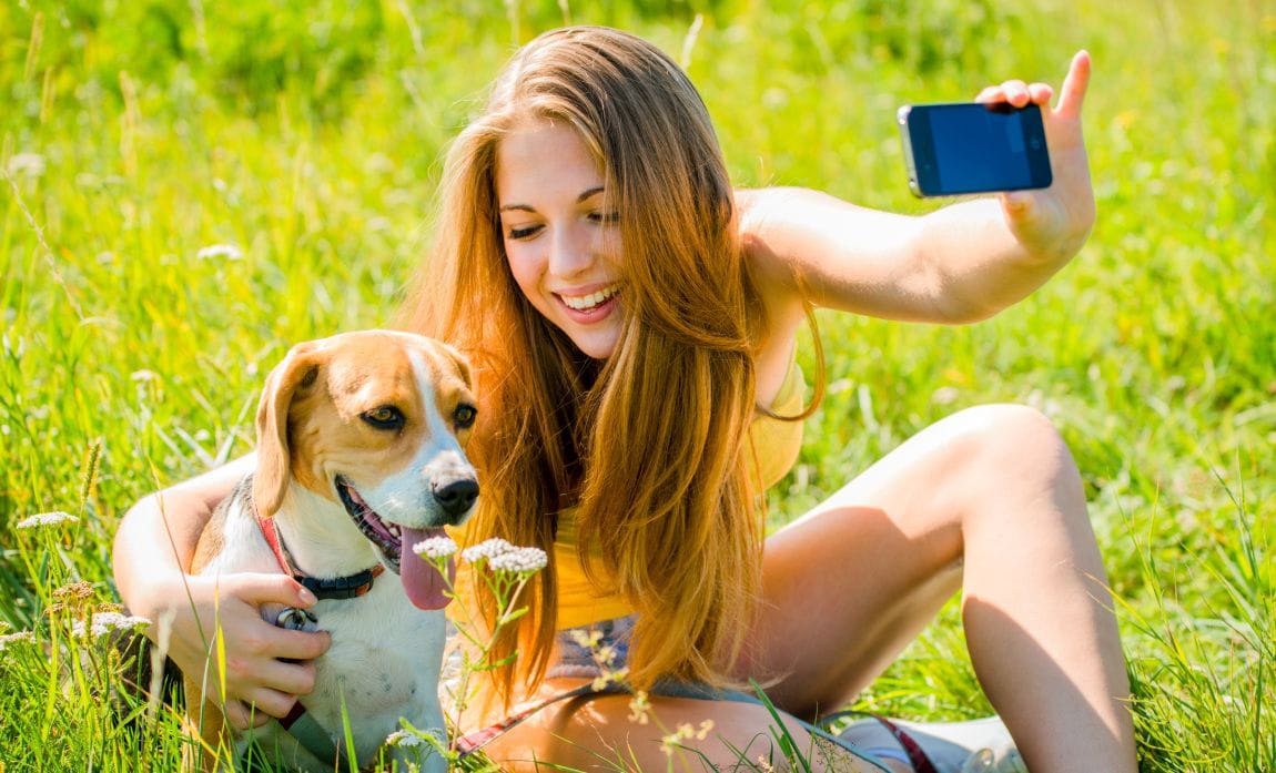 100 Dog Instagram Captions For Getting Followers 