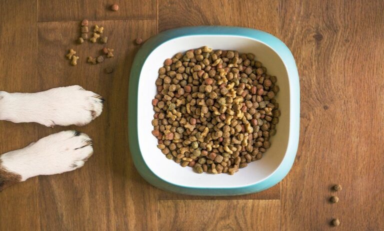 Where to Get Free Dog Food Samples: 13 Options for Free Samples!: No ...