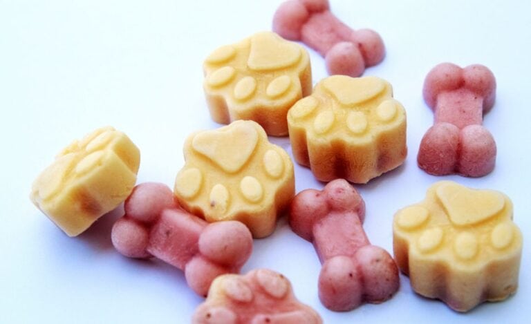 9 DIY Recipes for Dog Ice Block Treats!
