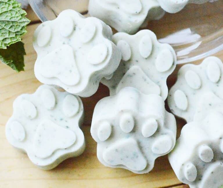 9 DIY Recipes for Dog Ice Block Treats!
