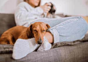 Dog Consent: Yes, It’s Real, Here’s Why We Should Care