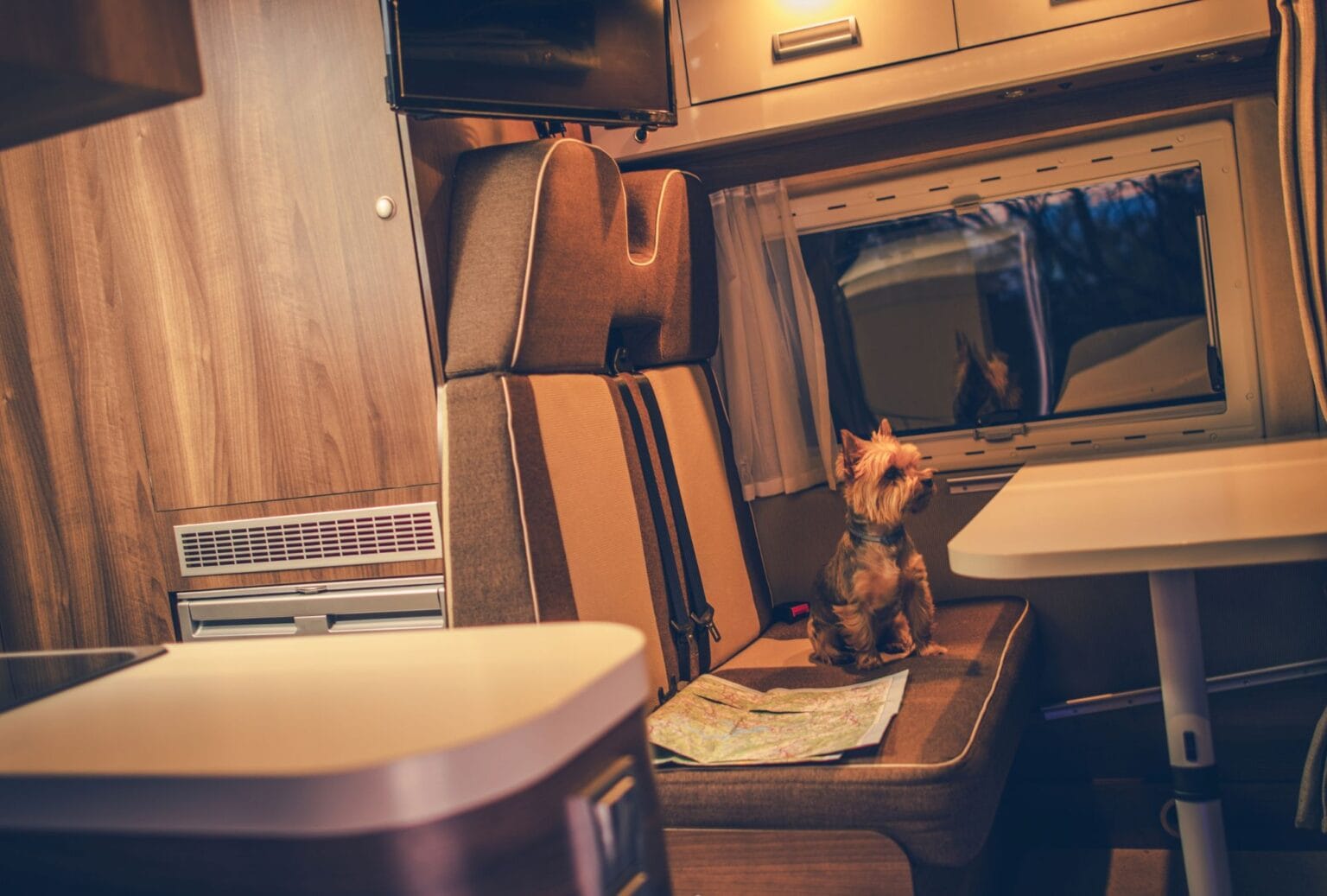 8 Tips for RV Traveling With Dogs: Hit the Road with Rover!