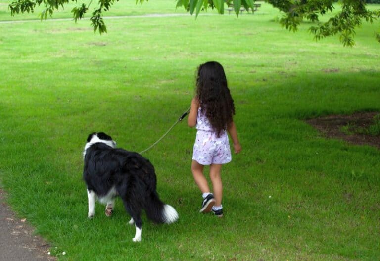 13 Ways to Teach Kids How to Interact with Dogs Safely!