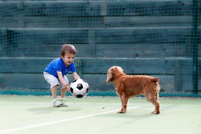 13 Ways to Teach Kids How to Interact with Dogs Safely!