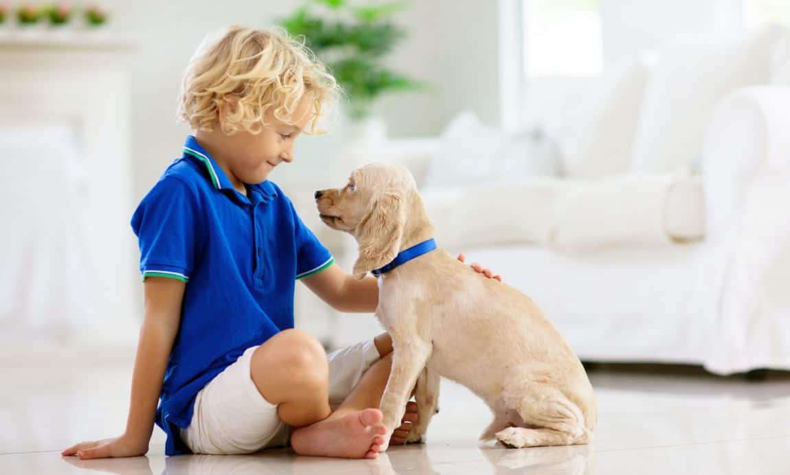 13 Ways To Teach Kids How To Interact With Dogs Safely 