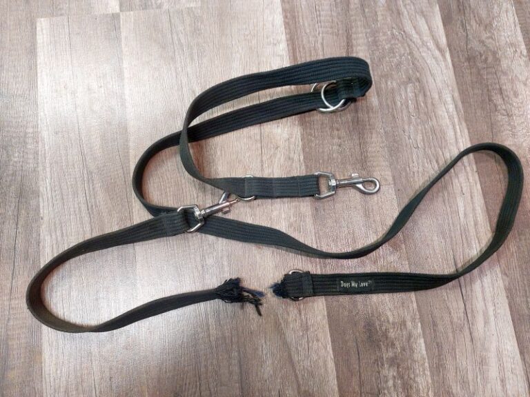 The 10 Best Heavy Duty Dog Leashes For Strong Pups Who Pull!