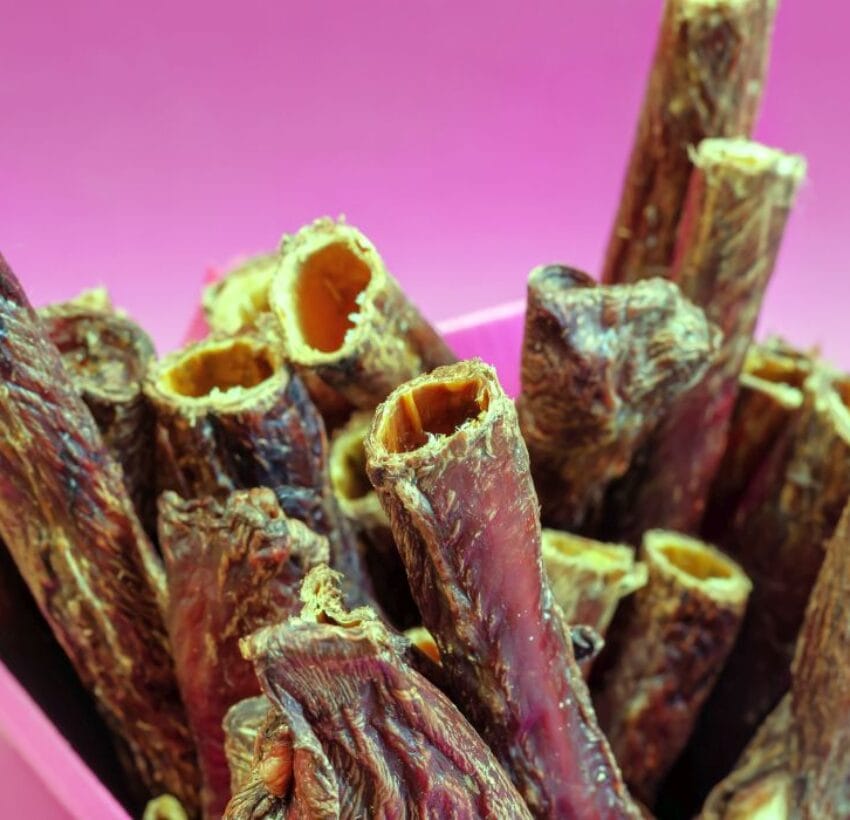 3 Best Cow Tails for Dog [2023 Reviews]