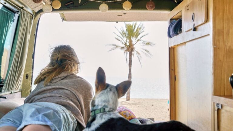 11 Best Dog Breeds for Van Life (& The Worst)