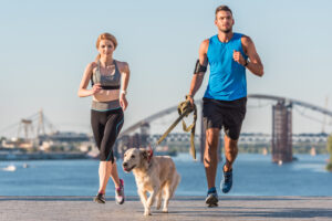 Dog Running 101: How to Train Your Dog to Run with You!