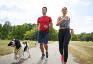 Dog Running 101: How to Train Your Dog to Run with You!