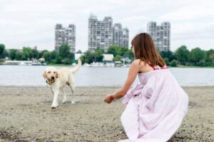 15 Tips for Catching a Runaway Dog: Recapturing Your Canine!