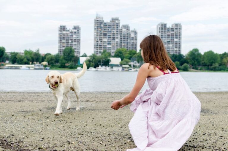 15 Tips for Catching a Runaway Dog: Recapturing Your Canine!