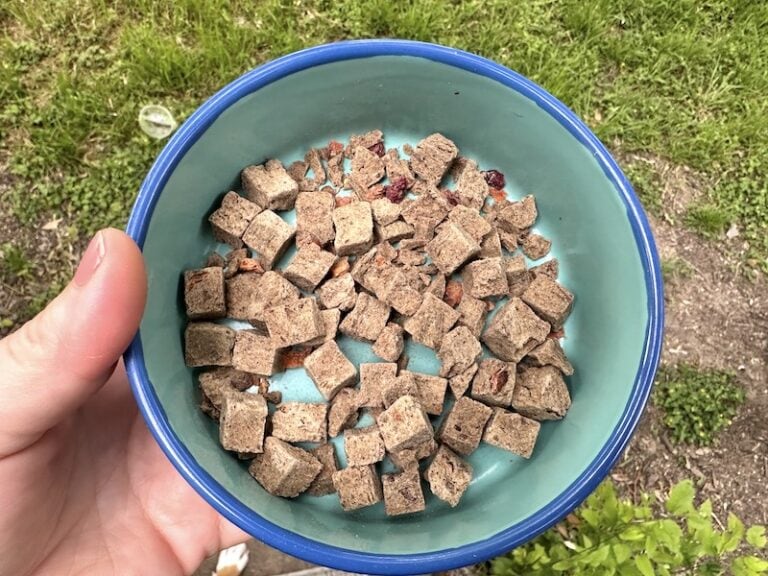 A Pup Above: Hands-On Review of Slow-Cooked Dog Food