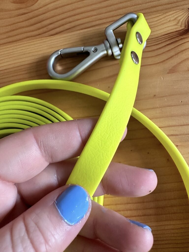 5 Best Long Dog Leashes for More Freedom!
