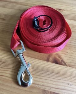5 Best Long Dog Leashes for More Freedom!